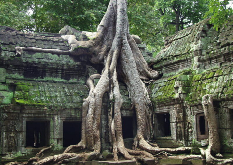 Siem Reap: Classic Angkor Wat Full Day with Sunset Tour - FAQ