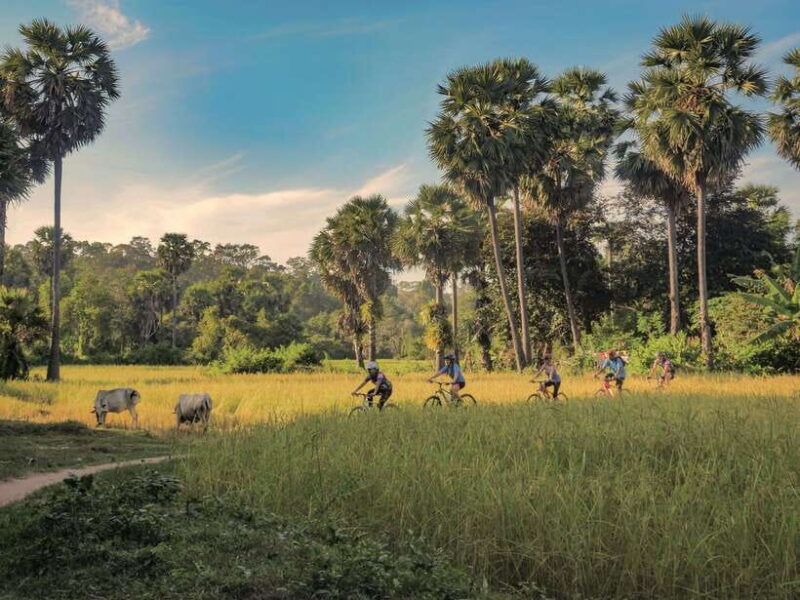 Siem Reap: Countryside Guided Tour by Bike and E-Bike - The Experience: Authentic, Scenic, and Fun