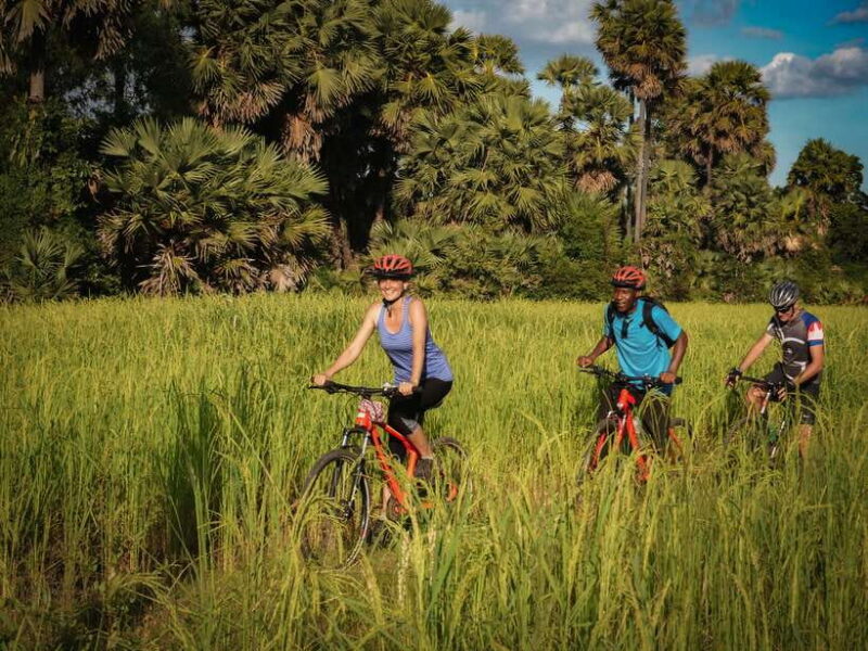 Siem Reap: Countryside Guided Tour by Bike and E-Bike - Who Is This Tour Best For?