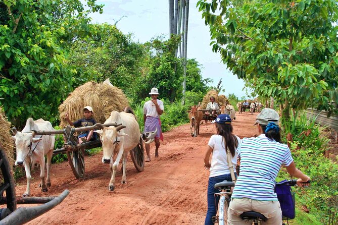 Siem Reap Countryside Jeep Tour - Who Will Love This Tour?
