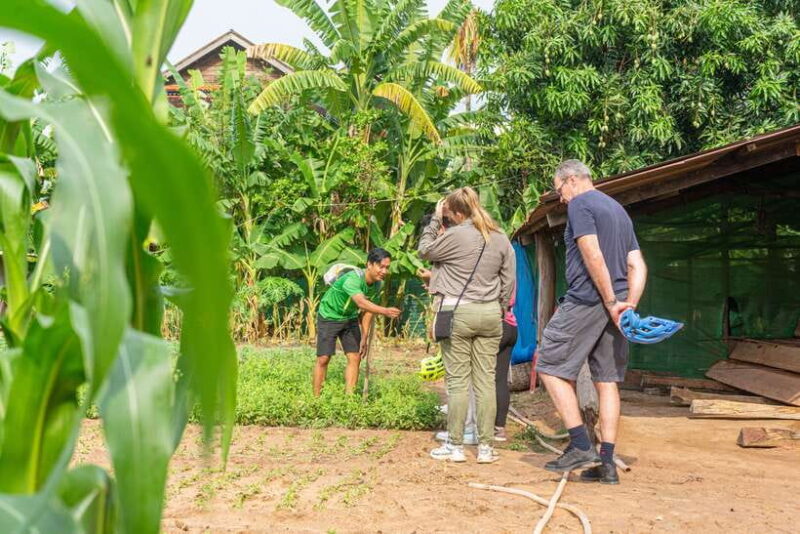 Siem Reap: Countryside Sunset Bike Ride - Practical Details