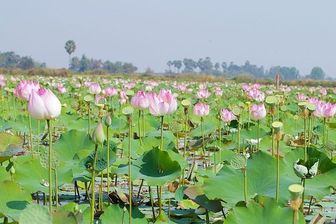 Siem Reap Countryside Sunset Jeep Tour - Half-day - Why This Tour Is a Good Value