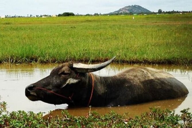 Siem Reap Countryside Sunset Jeep Tour - Half-day - The Sum Up