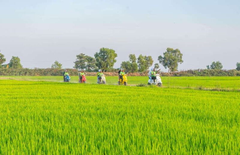 Siem Reap: Countryside Vespa Adventure - Who Will Love This Tour?