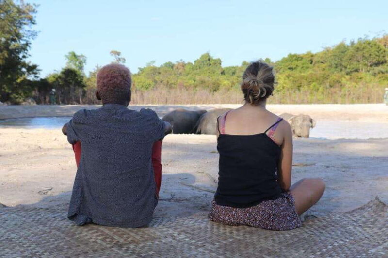 Siem Reap: Dine with Elephants, a Nature & Wildlife Journey - Authentic Experiences & Real Stories