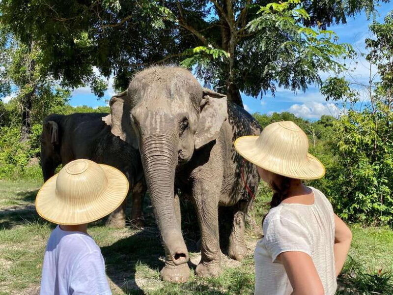 Siem Reap: Dine with Elephants, a Nature & Wildlife Journey - Who Will Love This Tour?