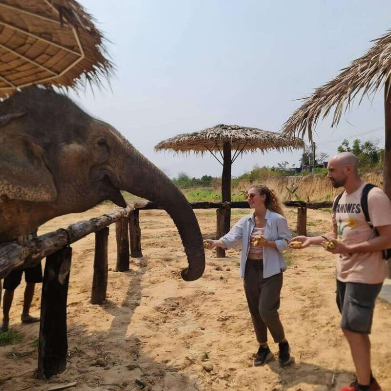 Siem Reap: Elephant Sanctuary Included Hotel Pickup Drop-off - Key Points
