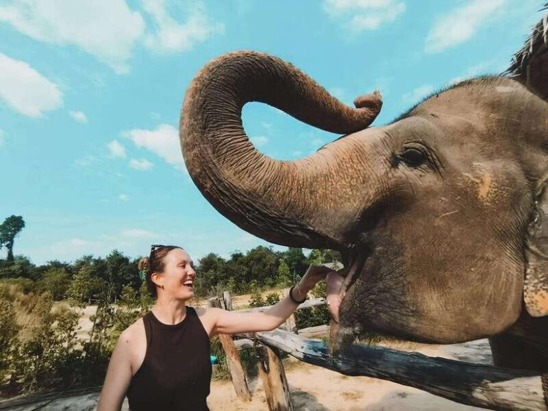 Siem Reap: Elephant Sanctuary Included Hotel Pickup Drop-off - Price and Value