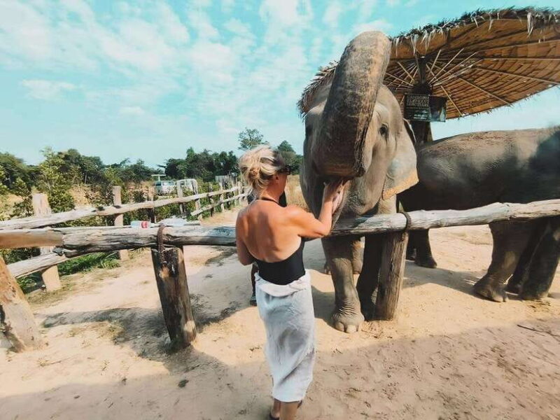 Siem Reap: Elephant Sanctuary Included Hotel Pickup Drop-off - Frequently Asked Questions