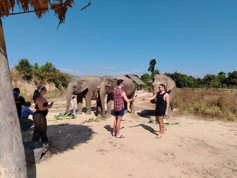 Siem Reap: Elephants & Apopo Rat Demining Private Trip - The Sum Up