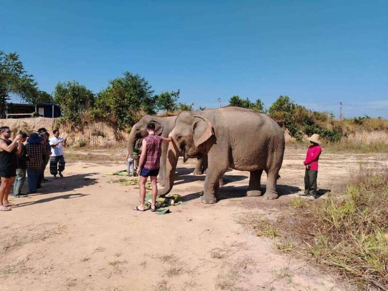 Siem Reap: Elephants & Apopo Rat Demining Private Trip - FAQ