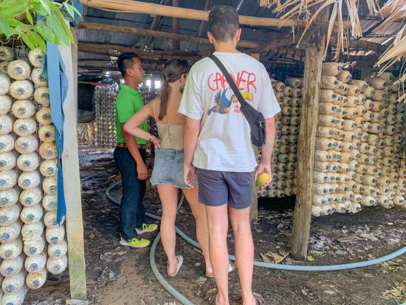 Siem Reap: Floating Village Sunset Boat Guided Vespa Tour - Practical Details & Value