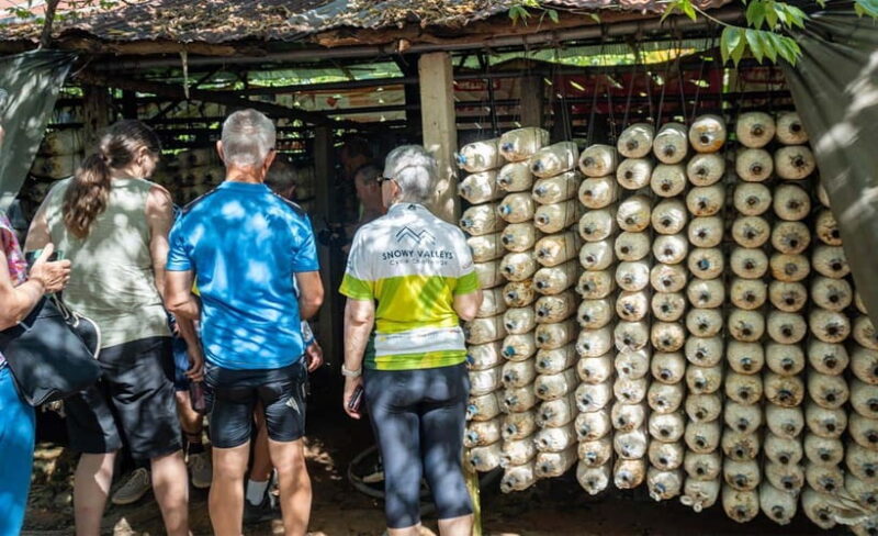 Siem Reap: Guided Countryside Bike Tour - The Ride and the Environment