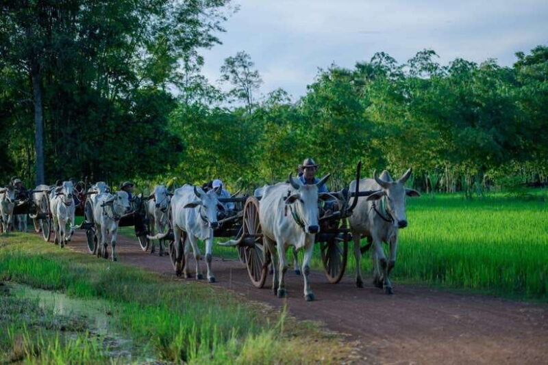 Siem Reap: Hands-on Cambodia Cooking Class and Market Tour - Final Thoughts