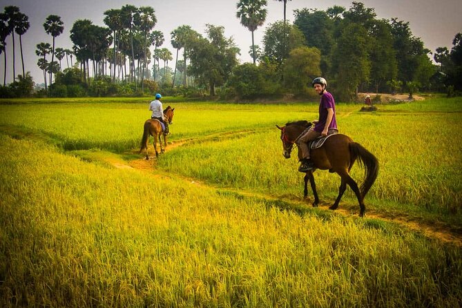 Siem Reap Happy Horse Riding - The Sum Up: Is It Worth It?