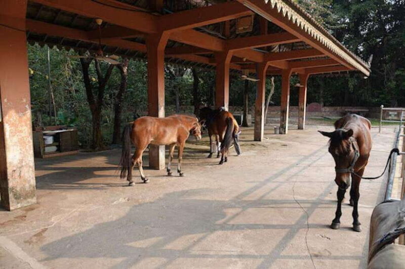 Siem Reap Happy Horse Riding Free Pick-up & Drop-off - Frequently Asked Questions