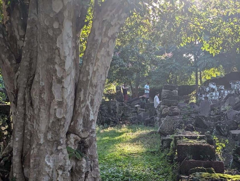 Siem Reap: Hidden Jungle Temples & Picnic Small Group Tour - Key Points