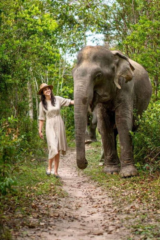 Siem Reap: Kulen Elephant Forest Guided Tour - Key Points