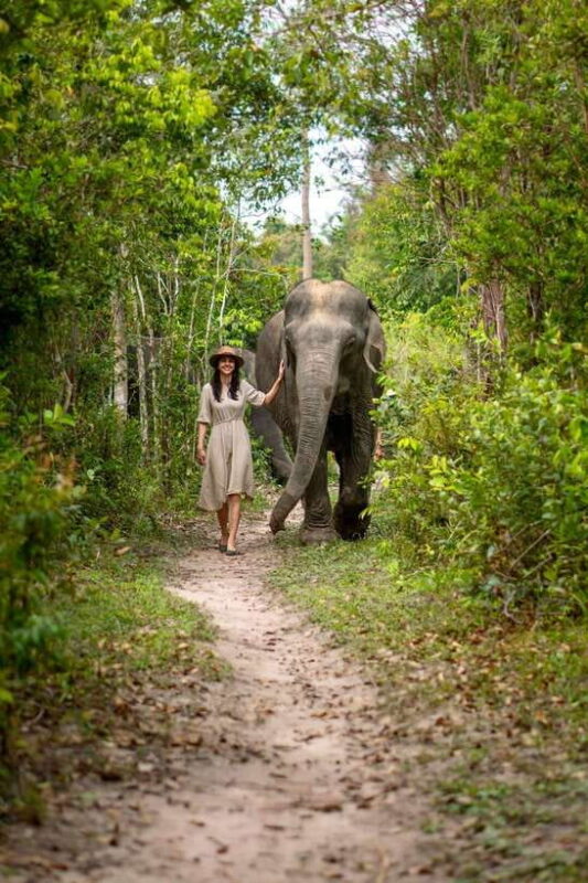Siem Reap: Kulen Elephant Forest Guided Tour - Who Should Consider This Tour?