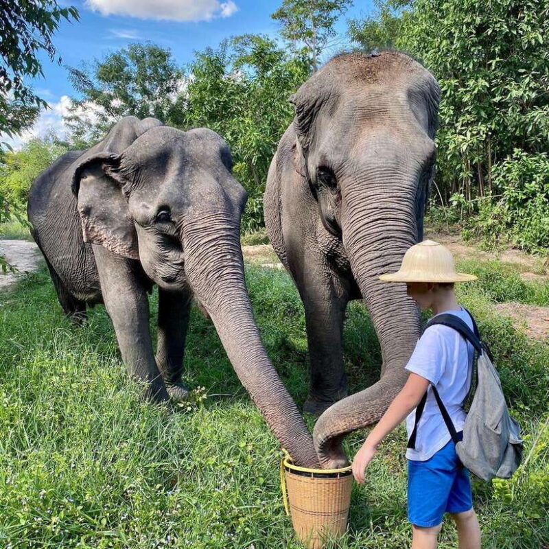 Siem Reap: Kulen Elephant Forest & Tonlesap Lake - Final Words