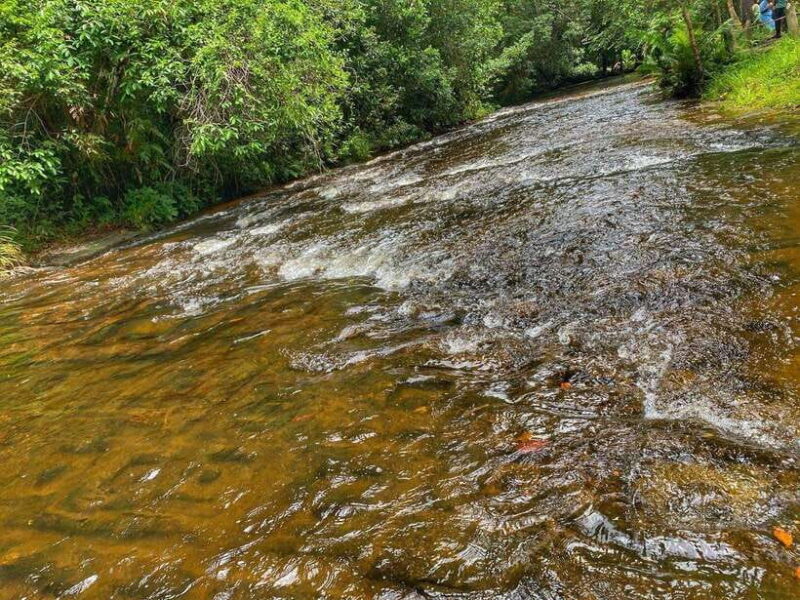 Siem Reap: Kulen Mountain, Beng Melea, and Kampong Phluk - FAQs