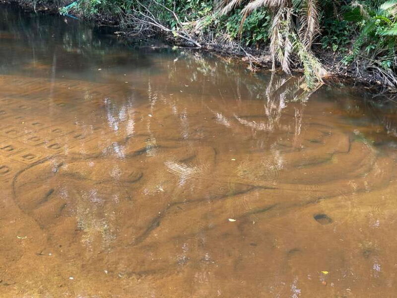 Siem Reap: Kulen Waterfall and Banteay Srei Exploration - Practicalities and Tips