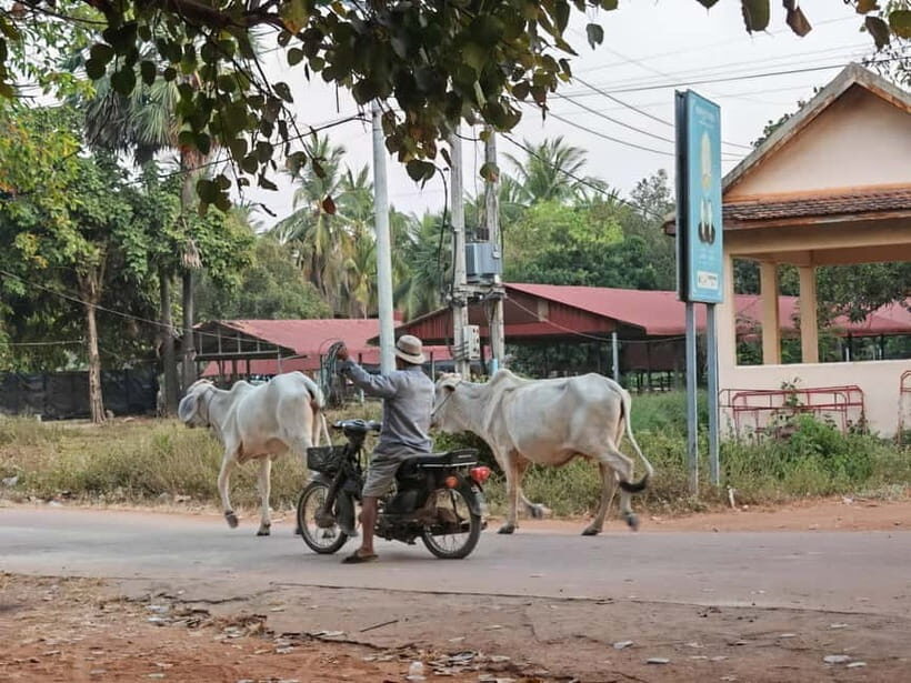 Siem Reap: Monk Blessings and Village Life Scooter Tour - Final Verdict