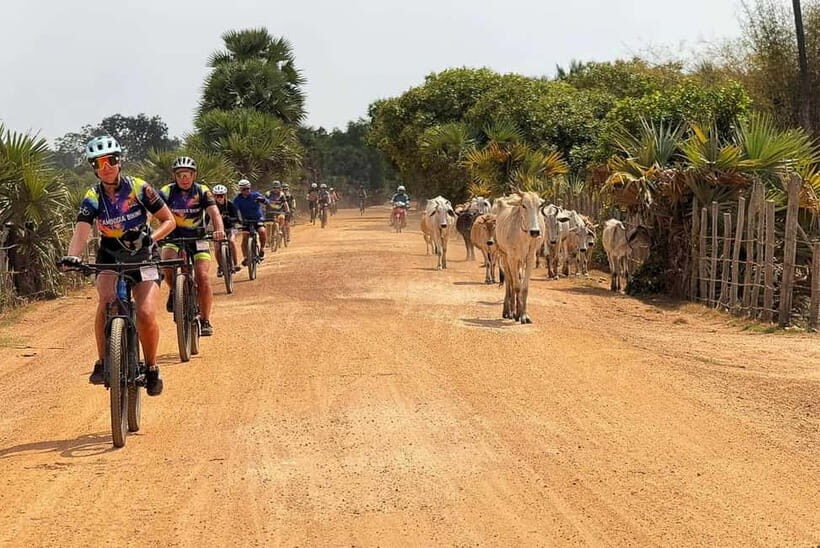 Siem Reap Nature & Cultural Safari Cycling Adventure - The Itinerary in Detail: What to Expect from Day One to Day Two