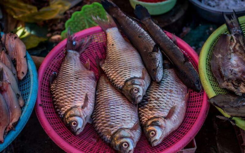 Siem Reap: Night Market Street Food Tour with Dinner - The Itinerary: A Closer Look