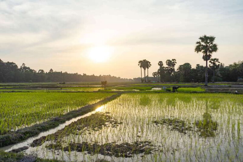 Siem Reap: Off-Road Ride Haft Day Tour - Who Should Consider This Tour?