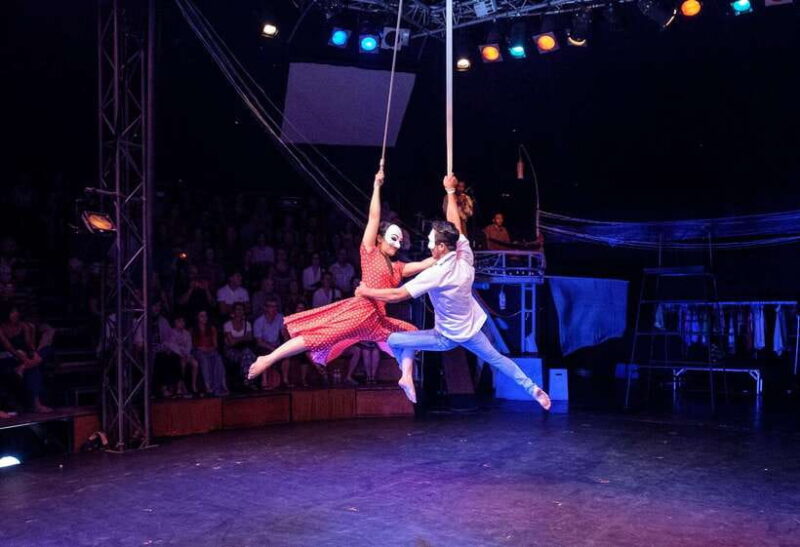 Siem Reap: Phare Circus Ticket with Tuk Tuk Transfer - Who Will Enjoy This Tour?