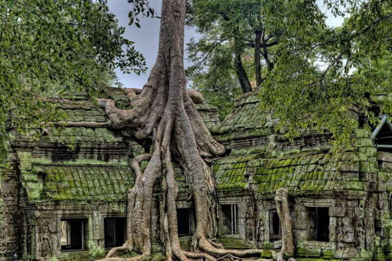 Siem Reap: Private Taxi to Angkor Wat and Small Circuit - Key Points