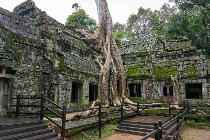 Siem Reap: Private Temple Tour full day by car or Minivan - Visiting Ta Prohm: The Jungle’s Embrace