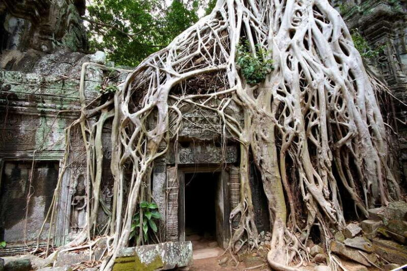 Siem Reap: Private Tour of Angkor Complex - Who Is This Tour Best Suited For?