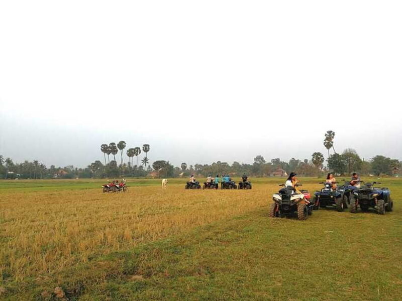 Siem Reap Quad Bike Countryside Tour - Who Should Consider This Tour?