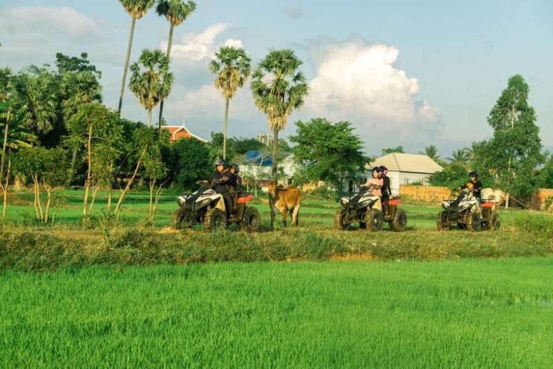 Siem Reap: Quad Bike Tour of Local Villages - Exploring Siem Reap’s Countryside: What the Tour Offers
