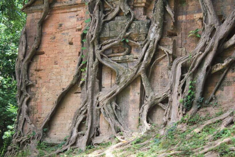 Siem Reap: Sambor Prei Kuk and Kompong Khleang Day Tour - Authenticity and Reviews: What Travelers Say