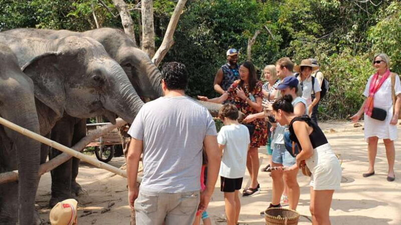 Siem Reap: Small Group Tour of Kulen Elephant Forest - The Value of This Tour