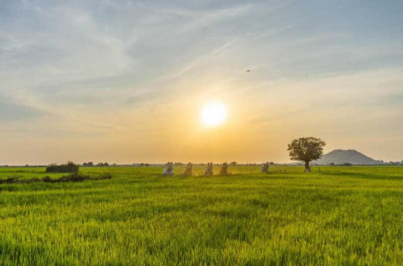 Siem Reap: Sunset Guided Vespa Tour & Local Villages - FAQs
