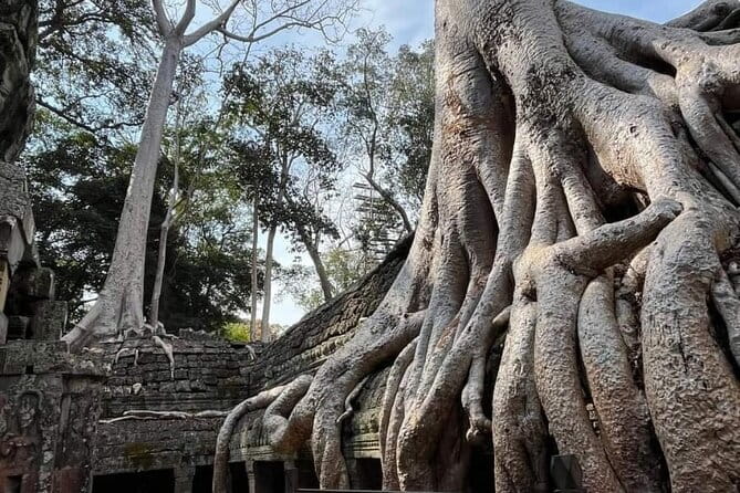 Siem Reap Temple Tuktuk Tour: Explore Angkor Wat and beyond. - FAQ