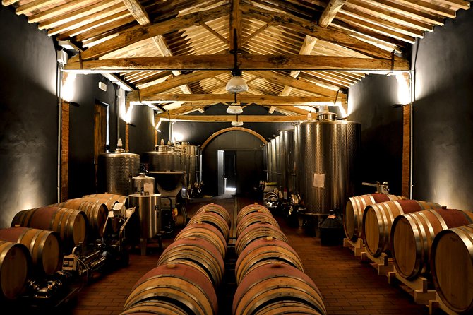 Siena: A Wine Tour and Tasting Experience - Authentic Experiences and Notable Reviews