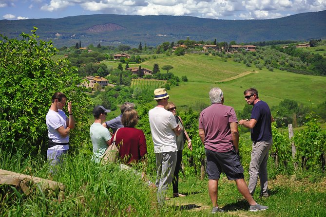 Siena: A Wine Tour and Tasting Experience - FAQ