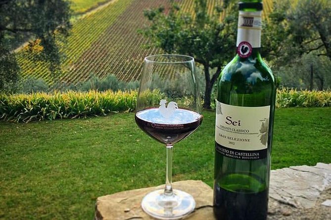 Siena and Chianti Wineries Excursion by Private Luxury Van From Florence - Exploring Renowned Chianti Wineries