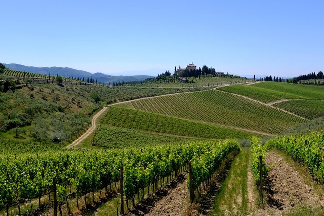 Siena and Chianti Wineries Excursion by Private Luxury Van From Florence - Frequently Asked Questions