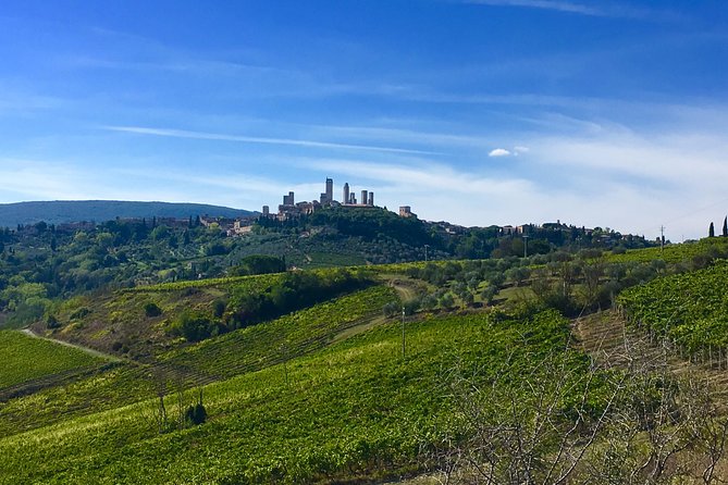 Siena and San Gimignano Tour From Florence - Highlights of Siena