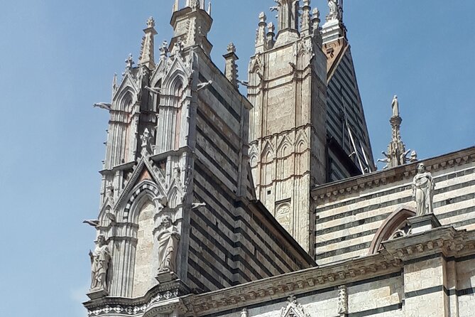 Siena Cathedral: shrine of treasures. - The Sum Up: A Worthwhile Dive into Siena’s Artistic Heart