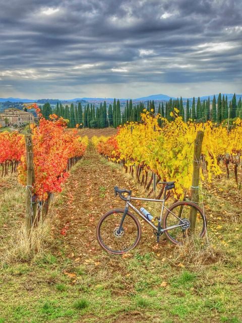 Siena: Chianti Classico Guided Cycling Tour - The Sum Up