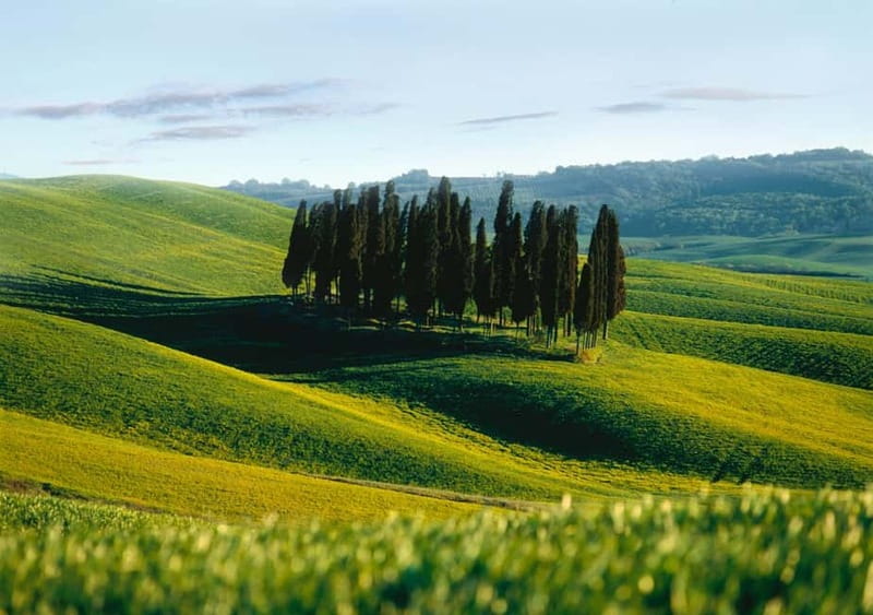 Siena: City Tour in German - Why This Tour Offers Great Value