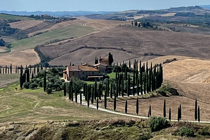 Siena, Cortona, Montepulciano & Val DORCIA From Florence - Semi Private Tour - Culinary Experiences Included
