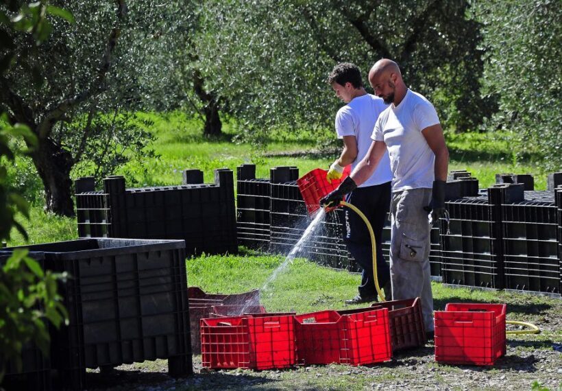 Siena: Educational Wine Tour & Tasting - An In-Depth Look at the Experience